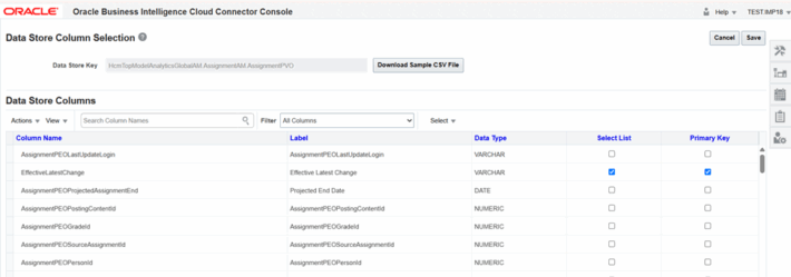 Building a Custom Report Using Reporting Tools in Oracle Fusion